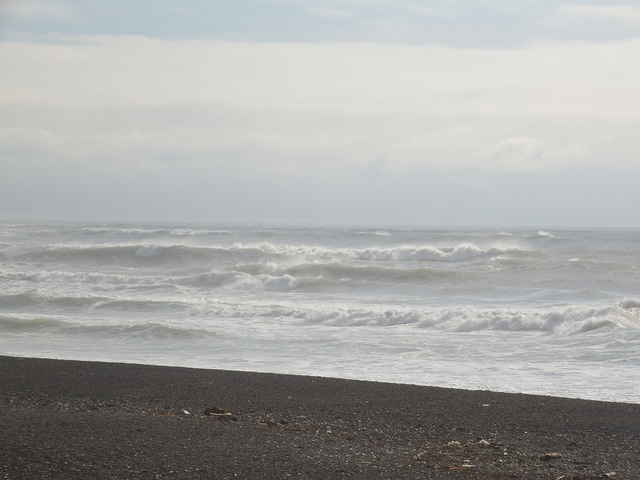 11月24日（日）午前: TA5