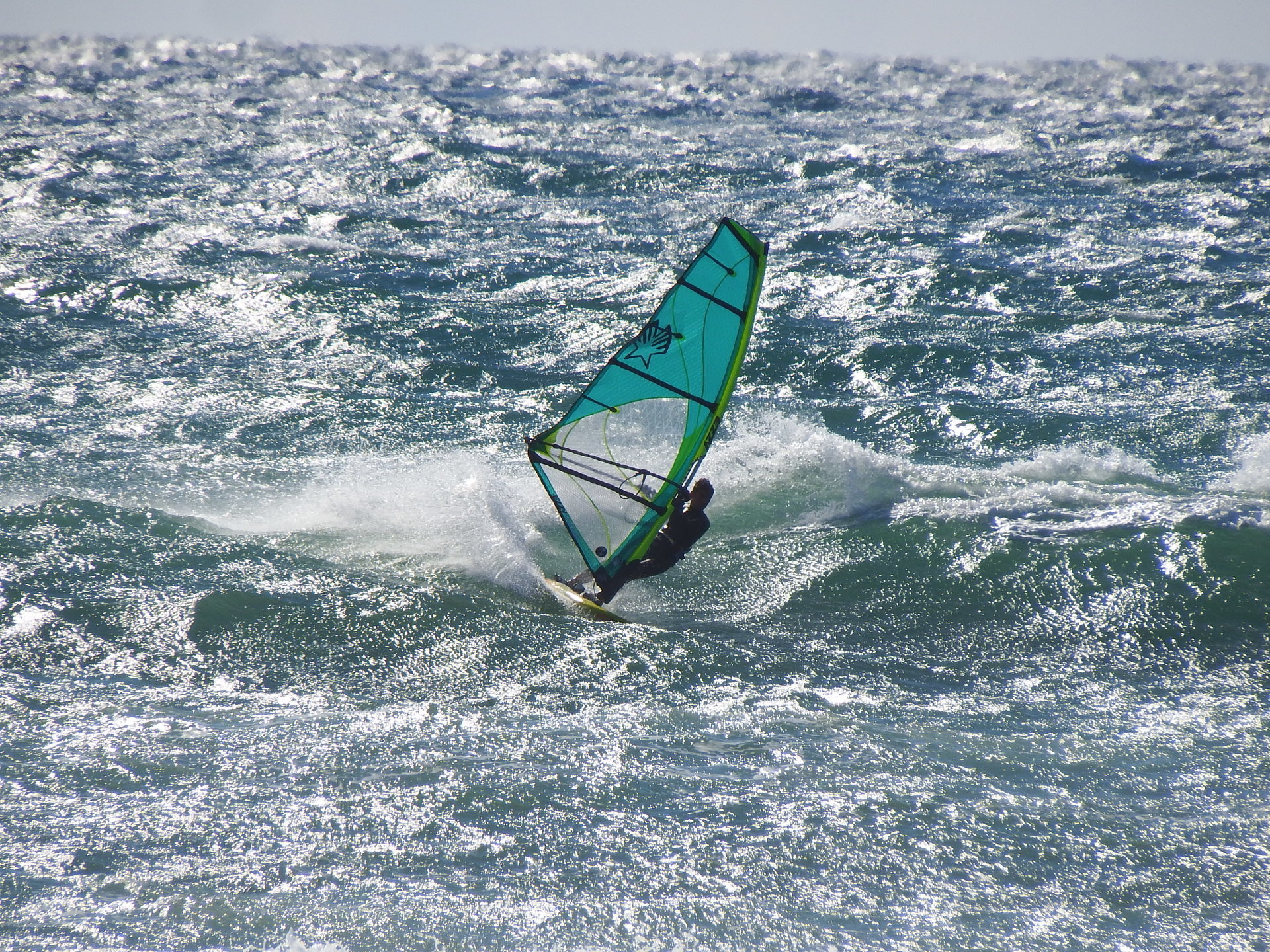 1月28日（土）ウインド: TA5