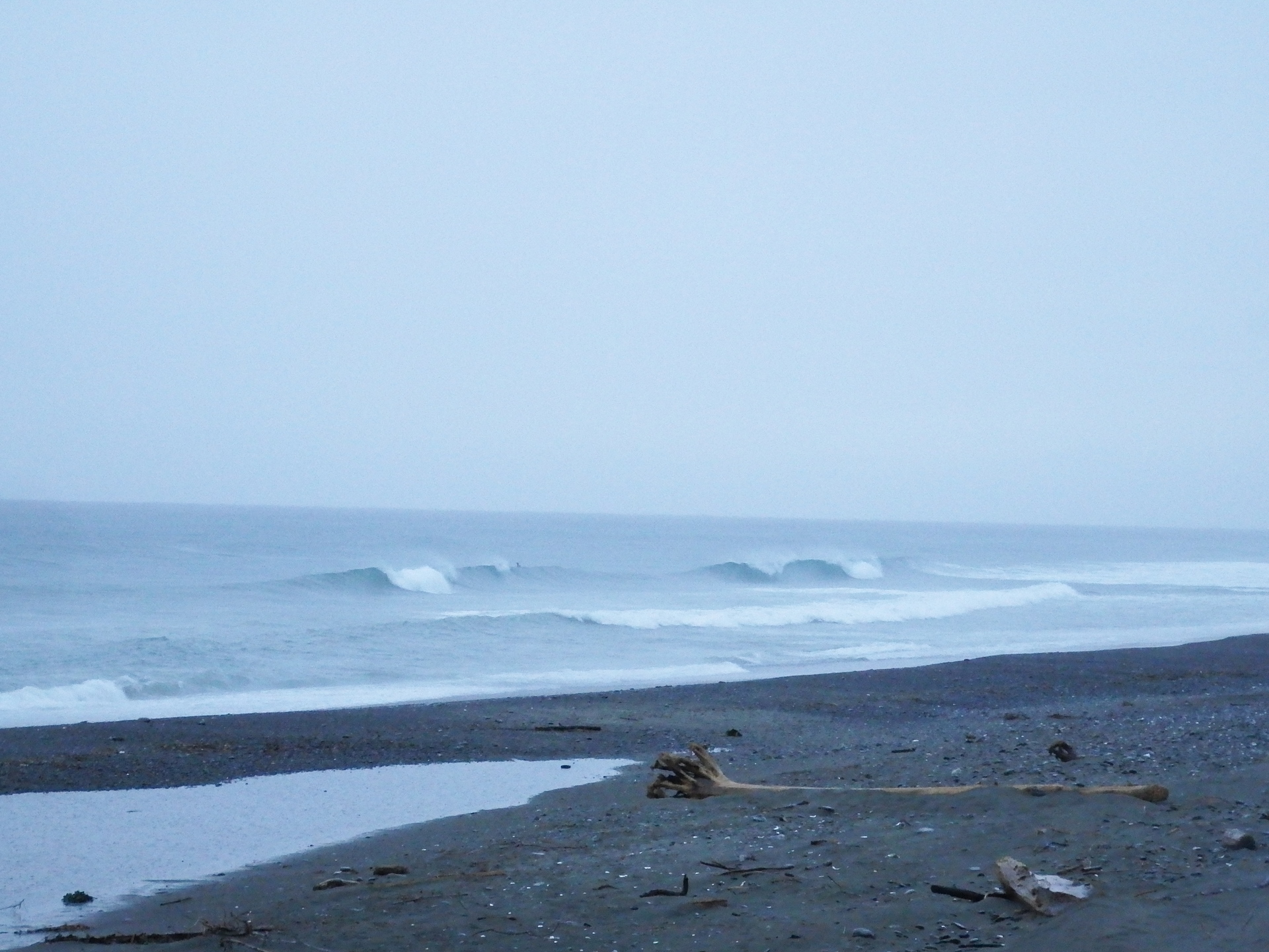 12月13日（火）朝: TA5