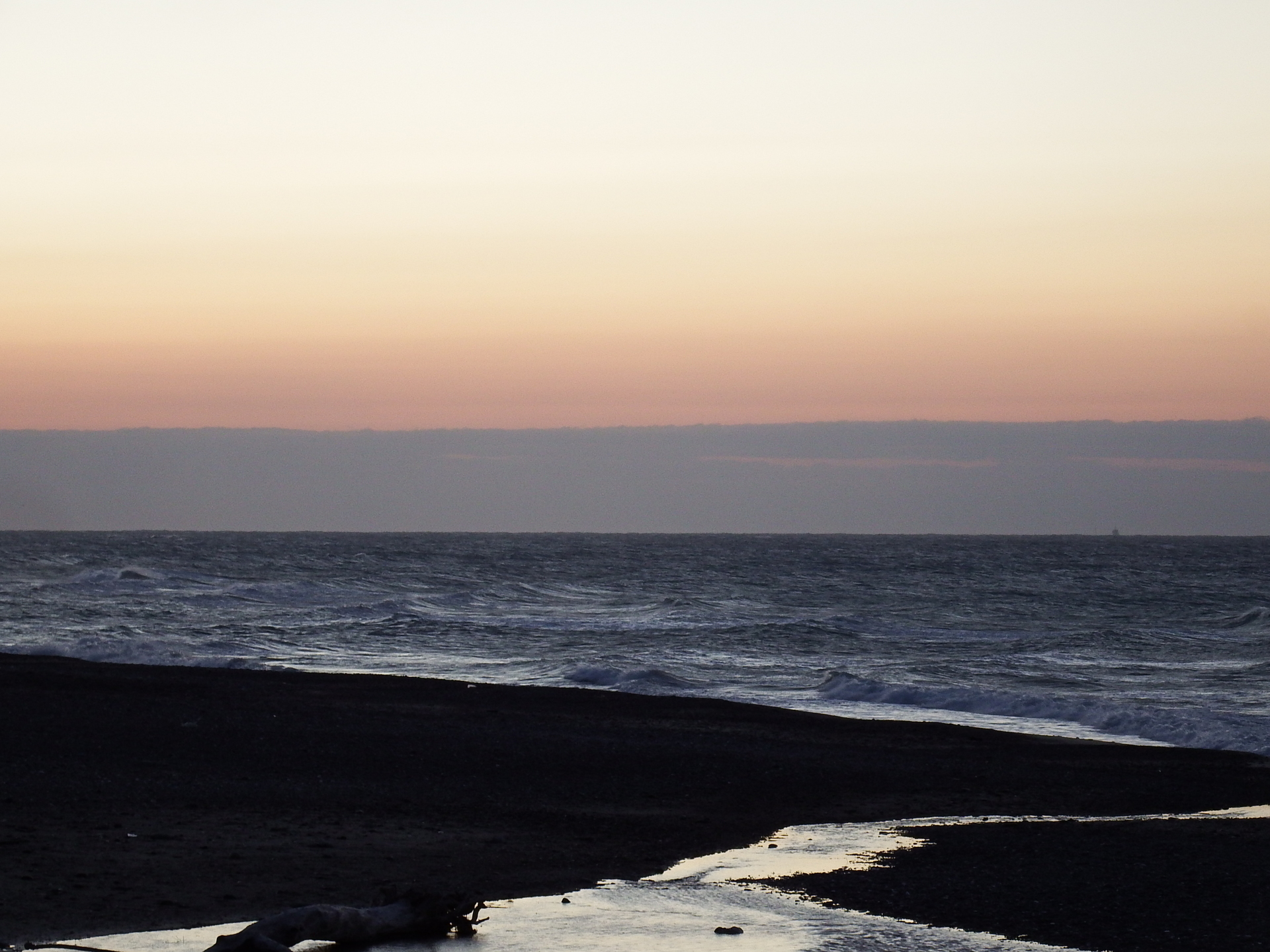 12月29日（木）朝: TA5