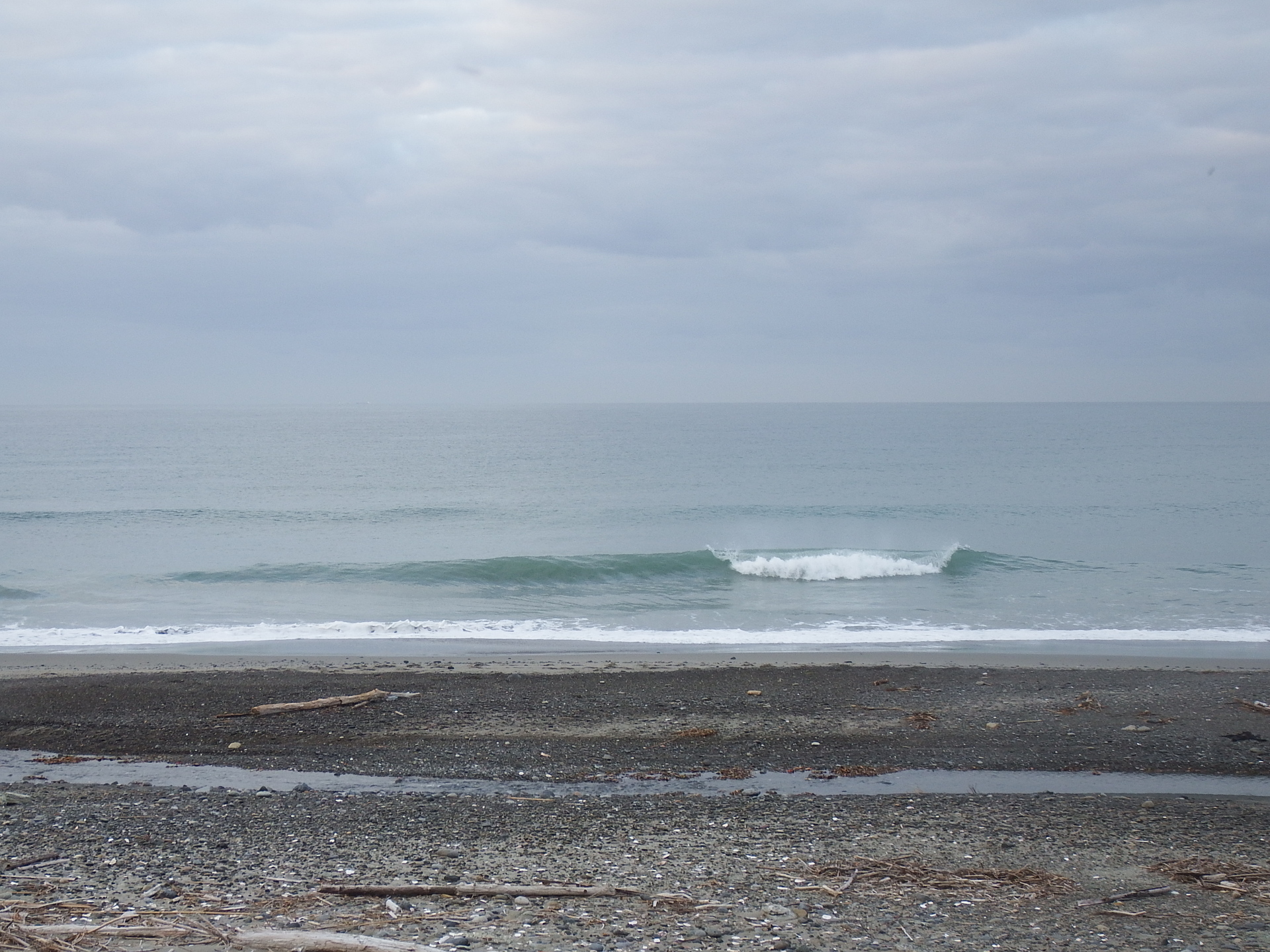 4月29日（土）朝: TA5