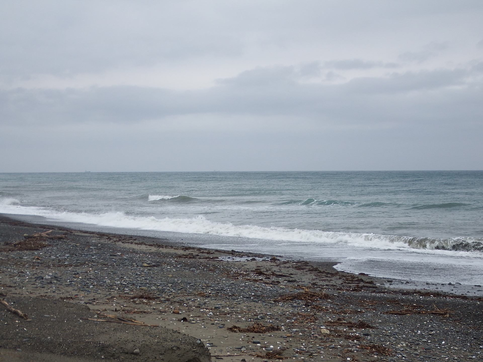 5月23日（火）朝: TA5