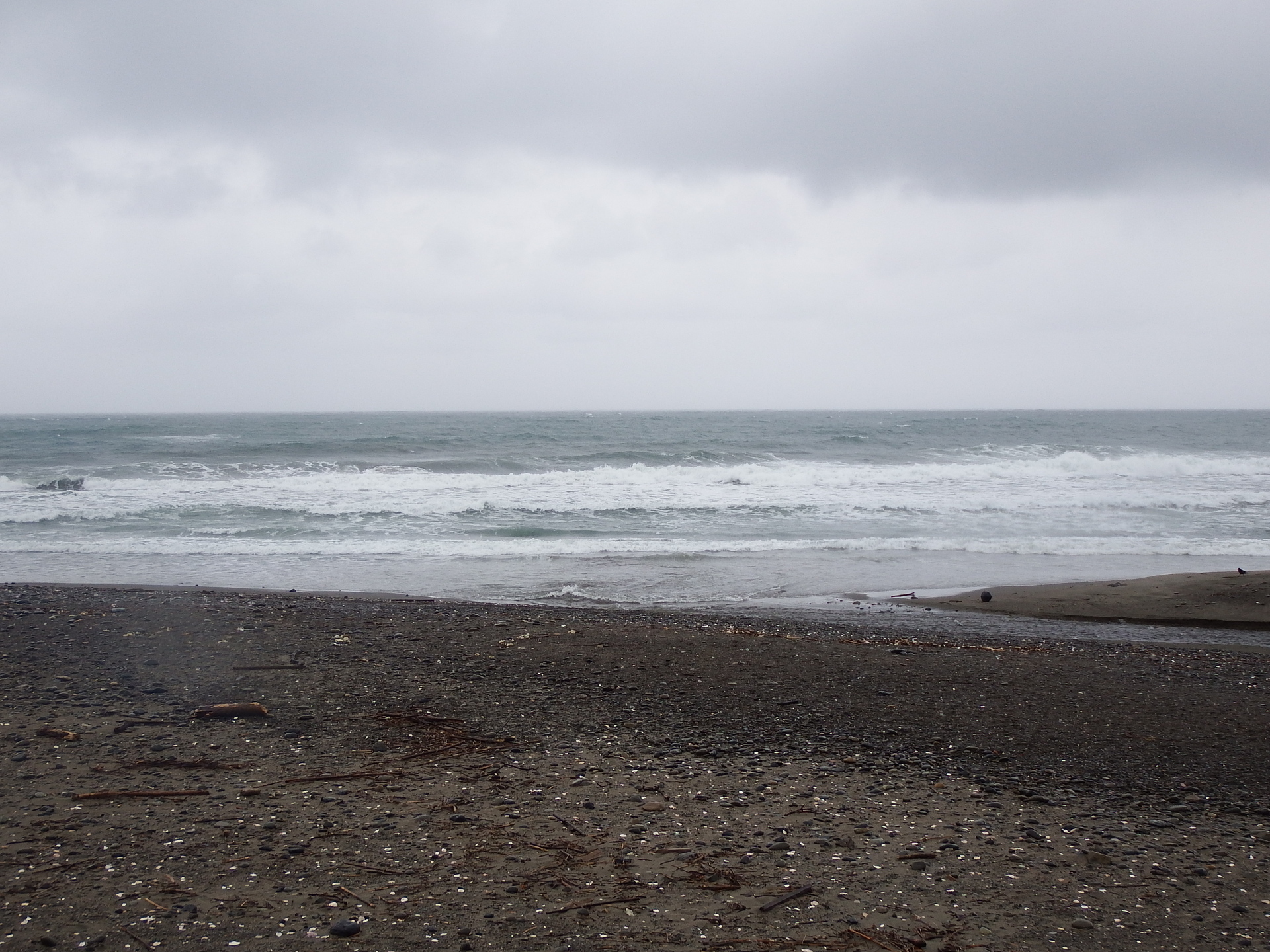 4月24日（水）朝: TA5