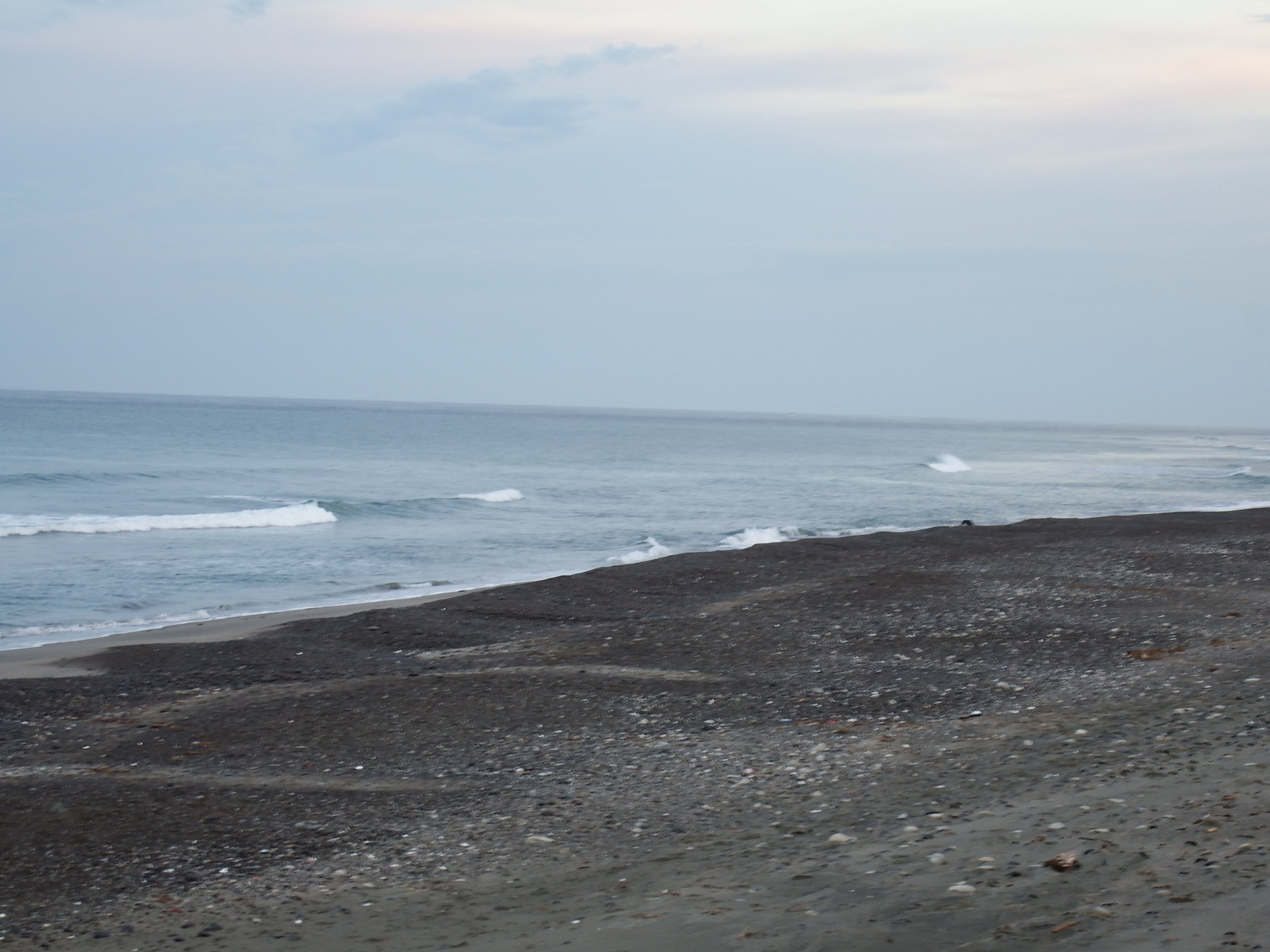 10月25日（水）朝: TA5