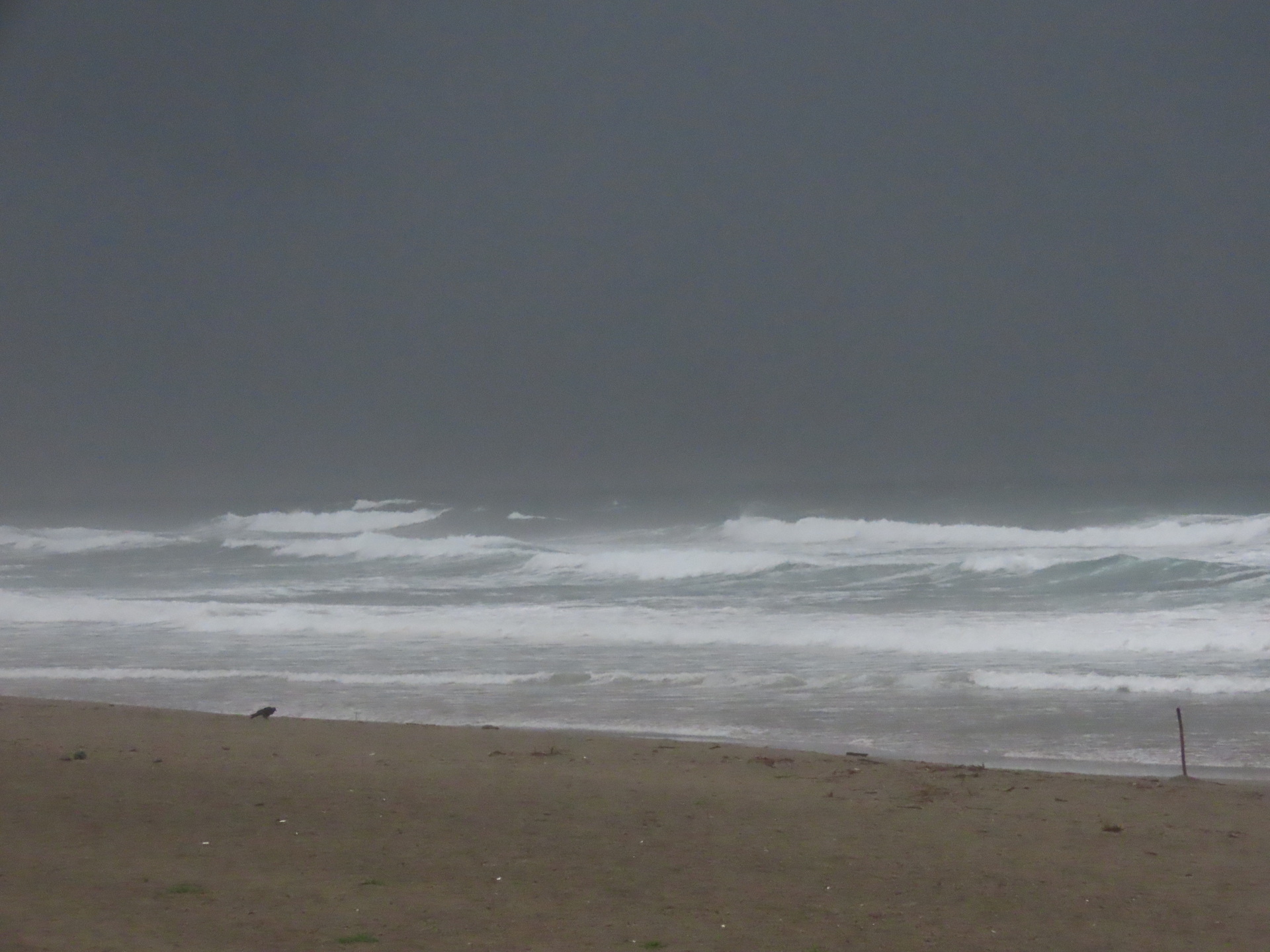 9月5日（金）朝: TA5