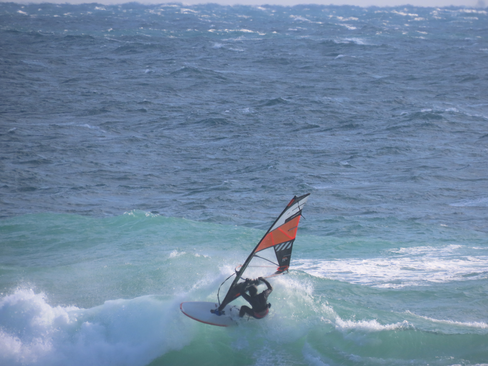 1月30日（月）ウインド: TA5