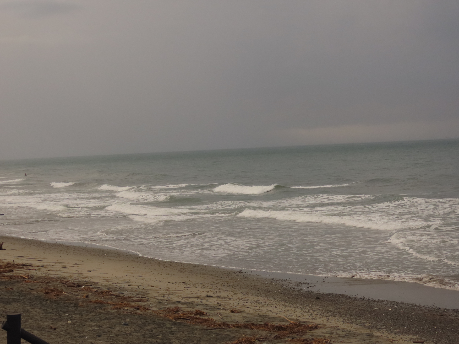 9月11日（木）朝: TA5