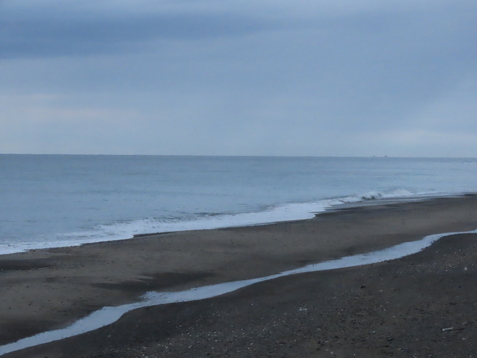 1月20日（月）朝: TA5