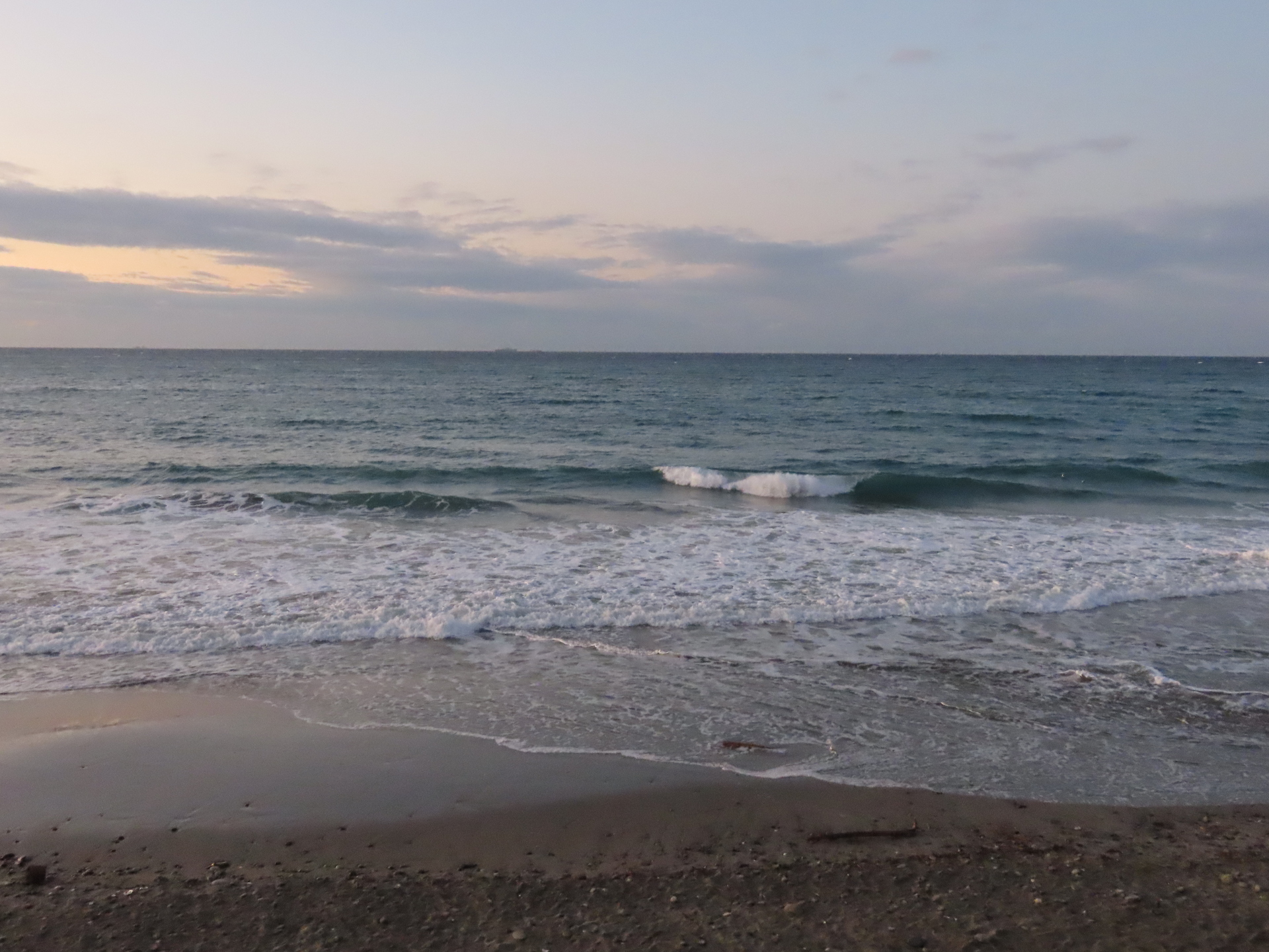 1月28日（火）朝: TA5