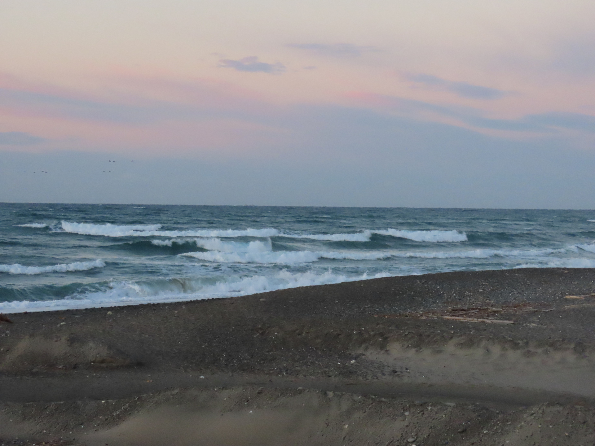 12月27日（水）朝: TA5