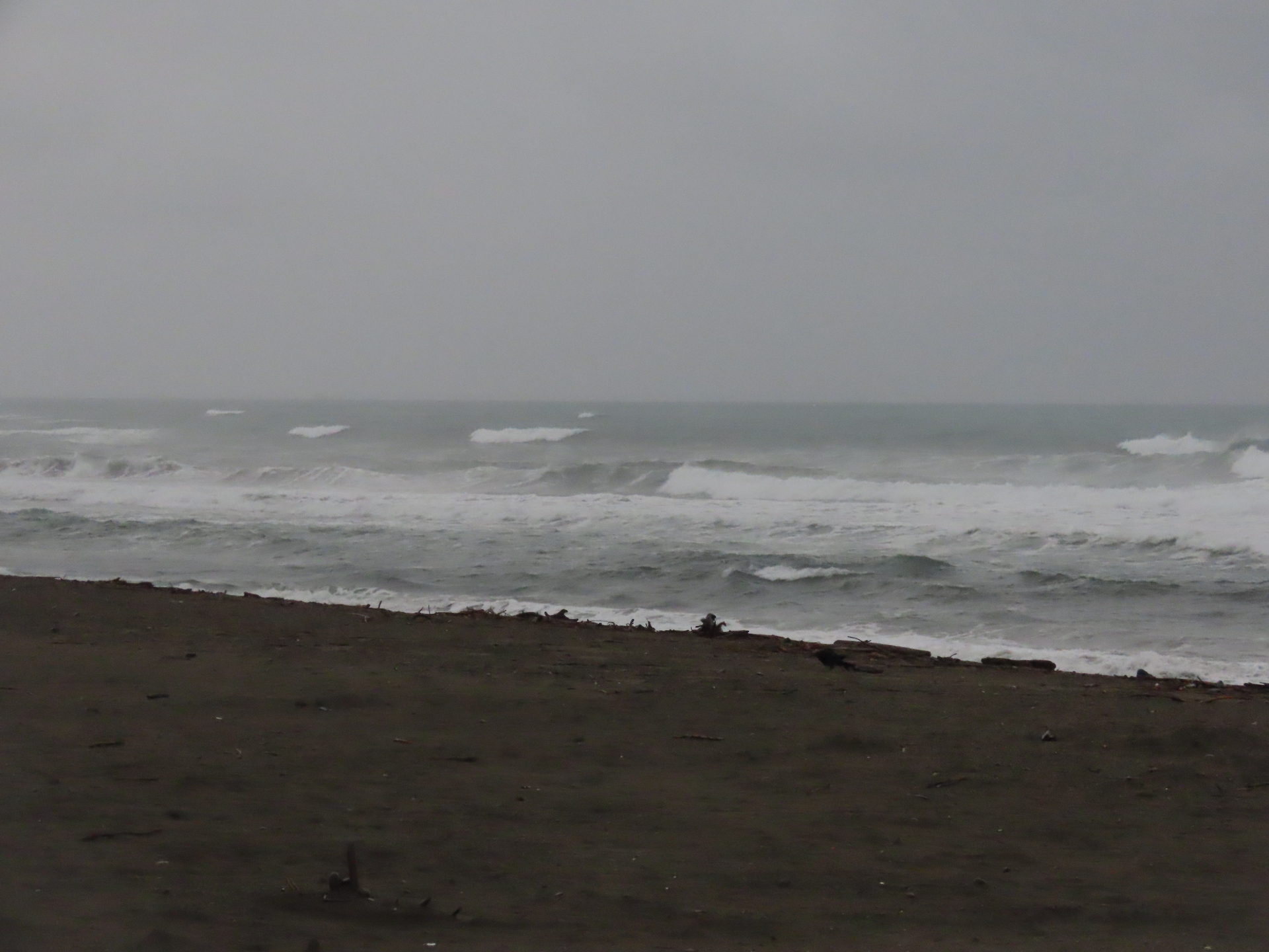 8月27日（火）朝: TA5