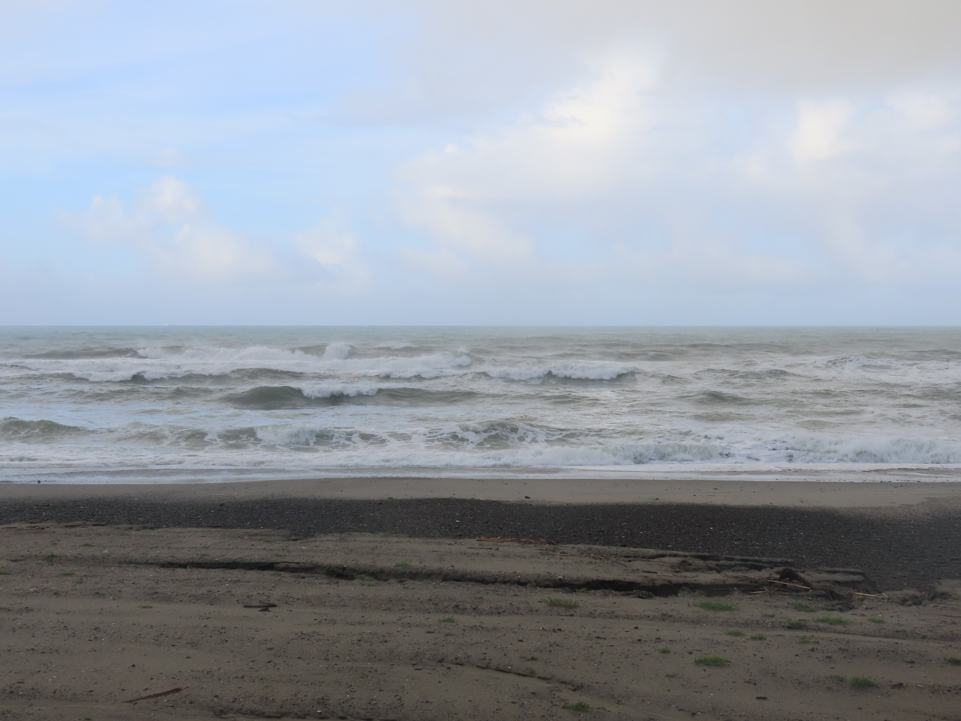 8月30日（金）朝: TA5