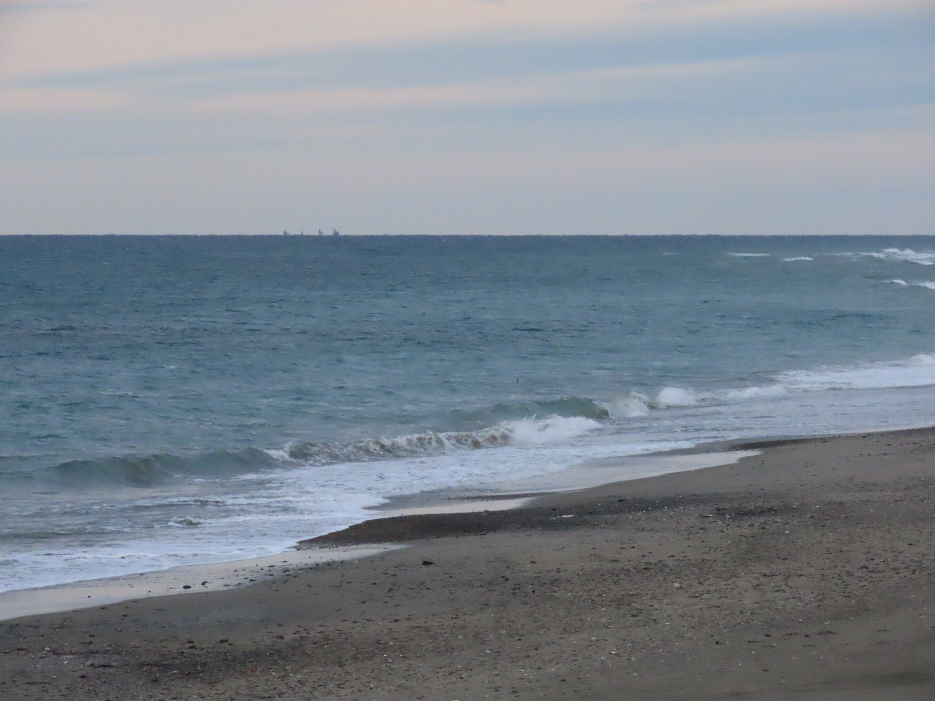 2月16日（日）朝: TA5