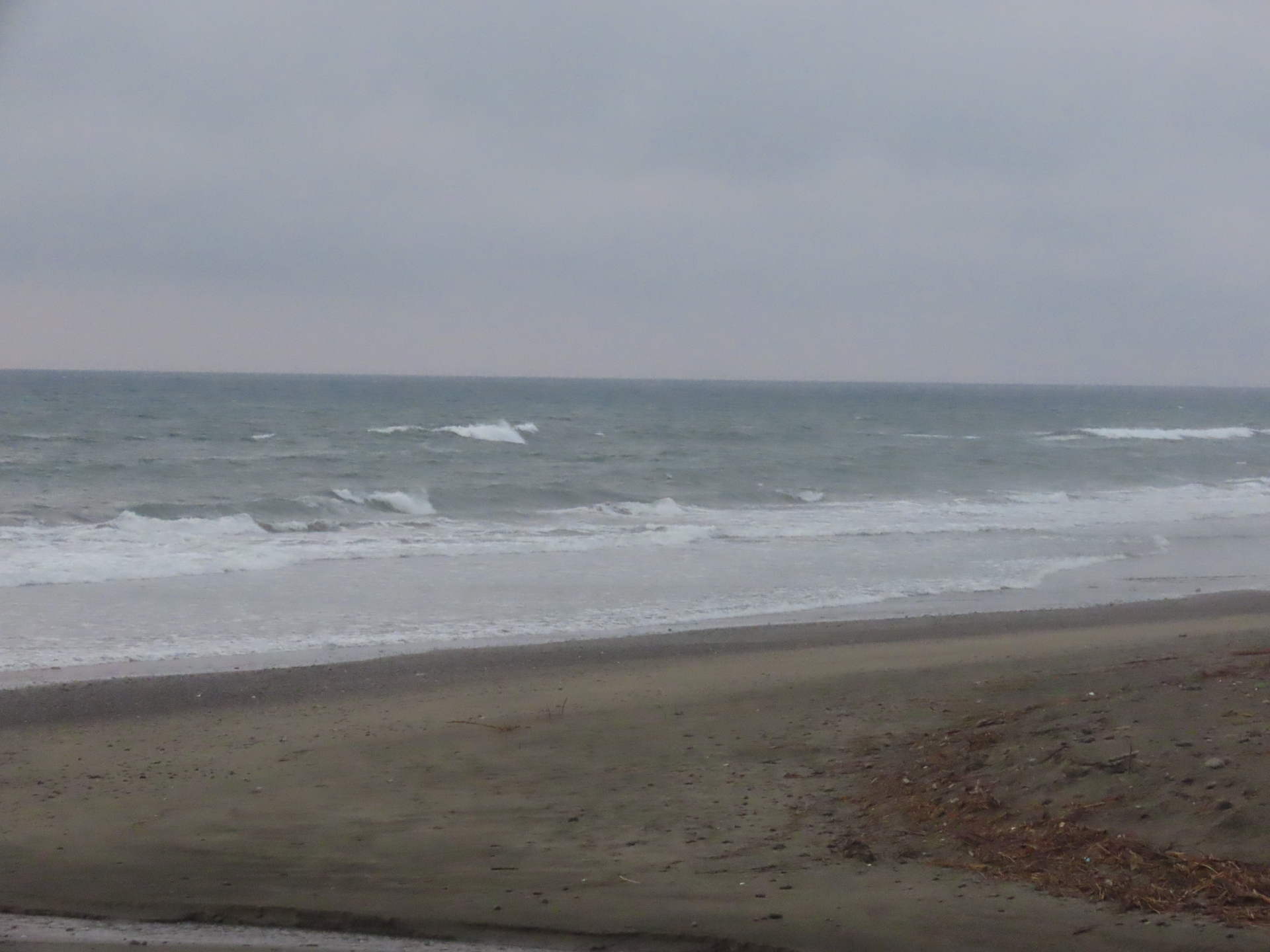 9月29日（月）朝: TA5