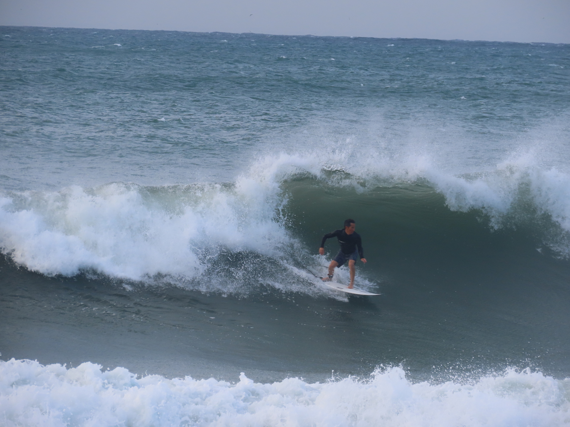 9月4日（月）朝: TA5