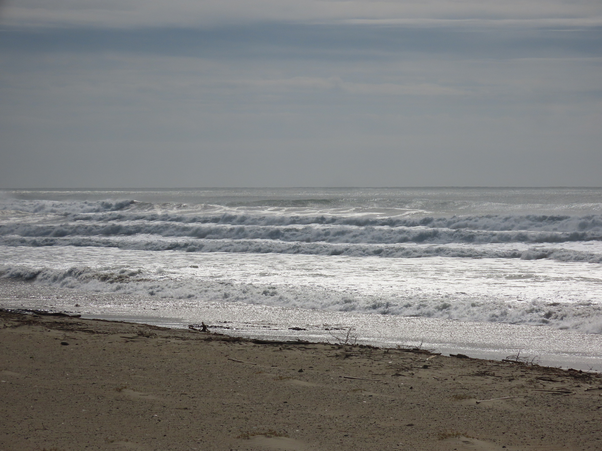 10月8日（水）朝: TA5