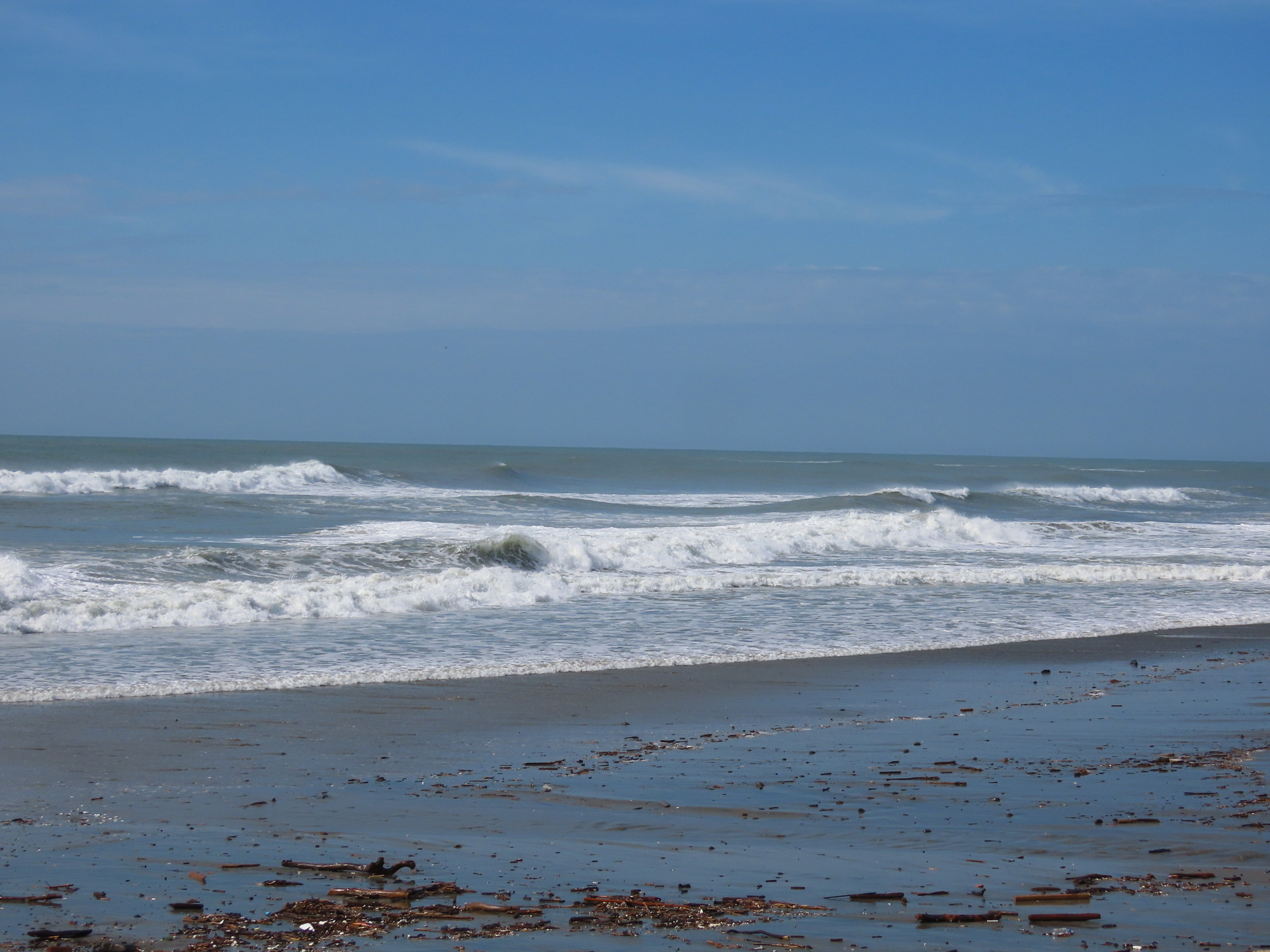 10月9日（木）朝: TA5