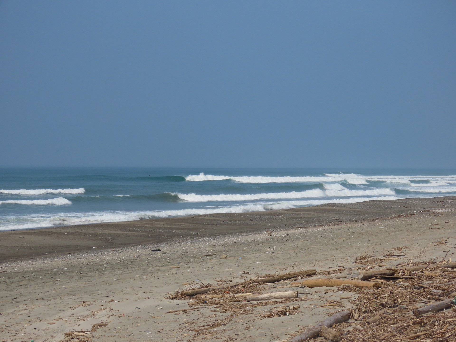 6月19日（月）朝: TA5