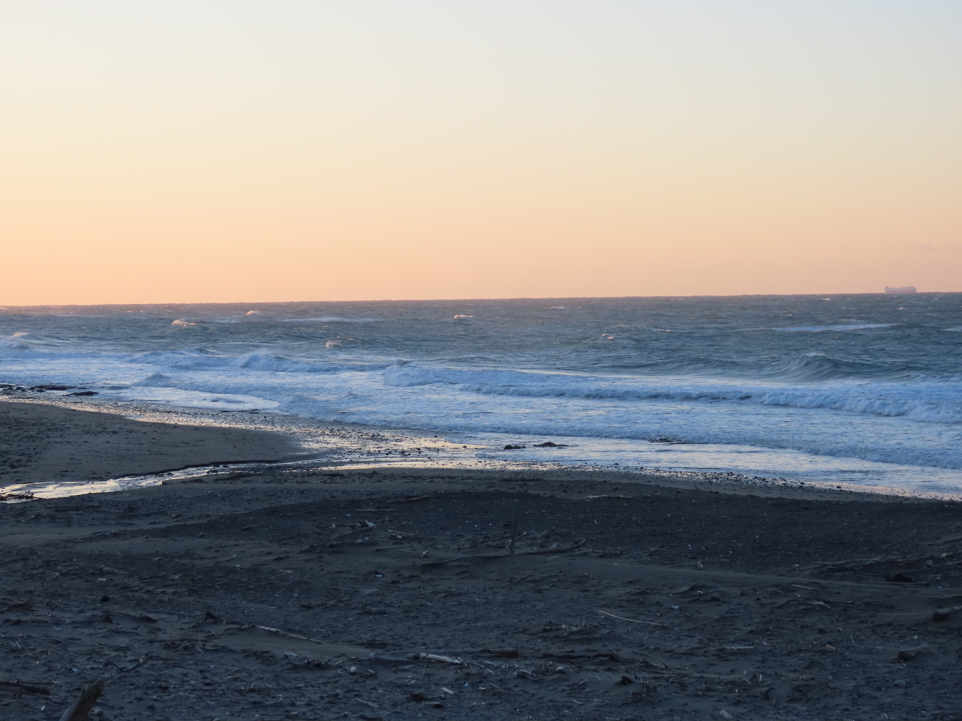 3月20日（木）朝: TA5