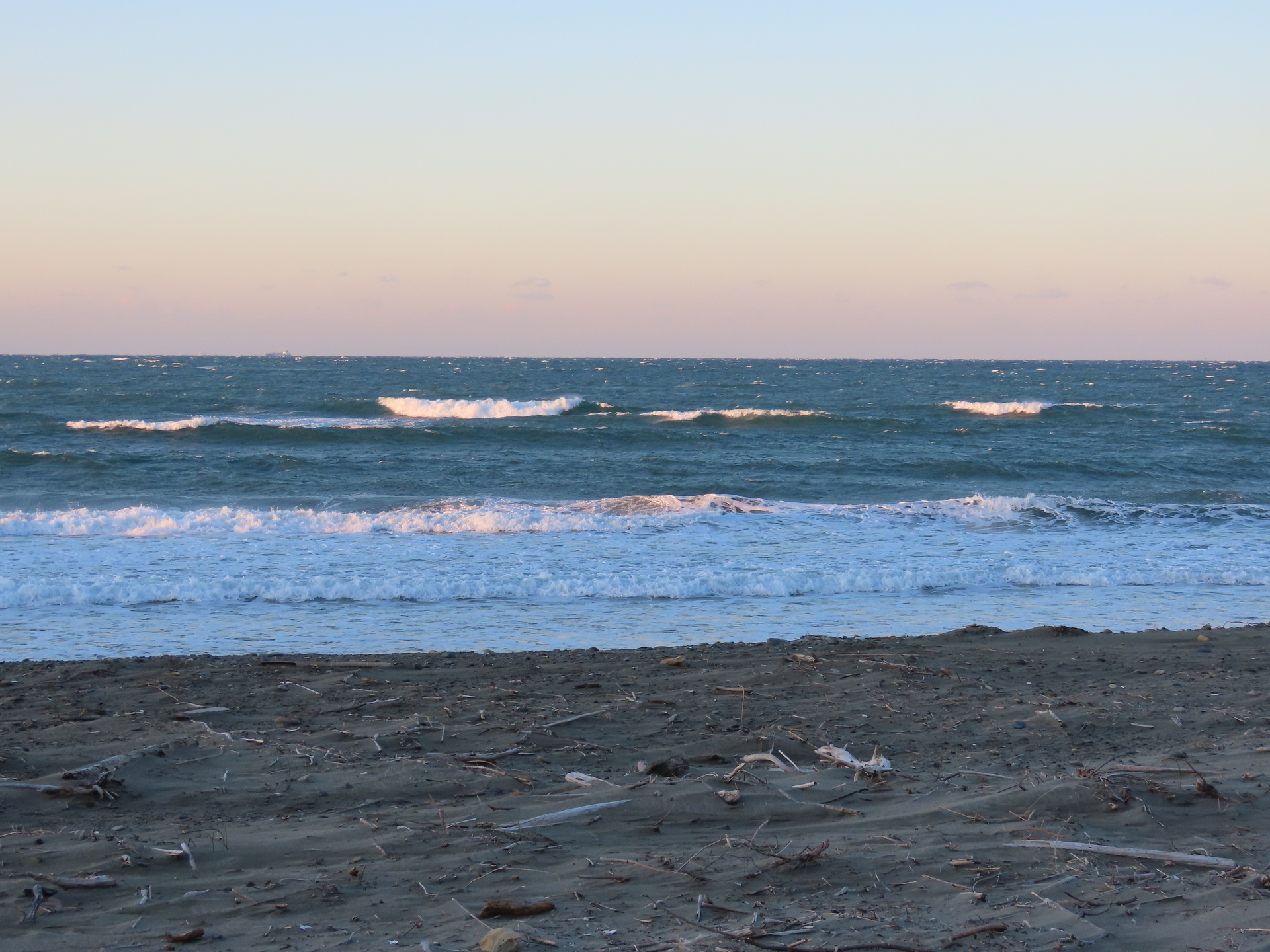 3月20日（木）朝: TA5