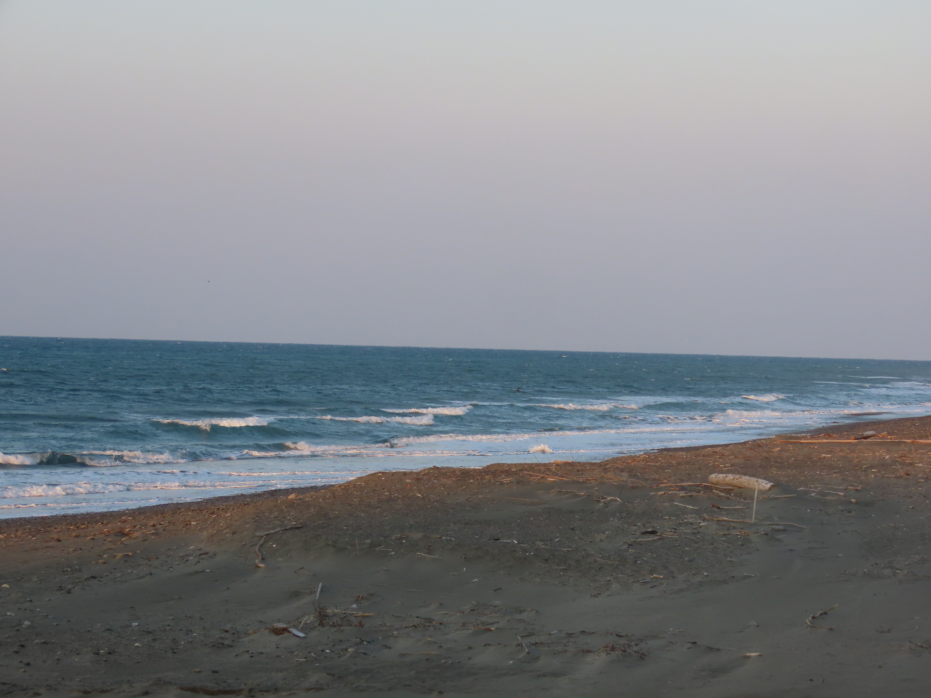 3月21日（金）朝: TA5