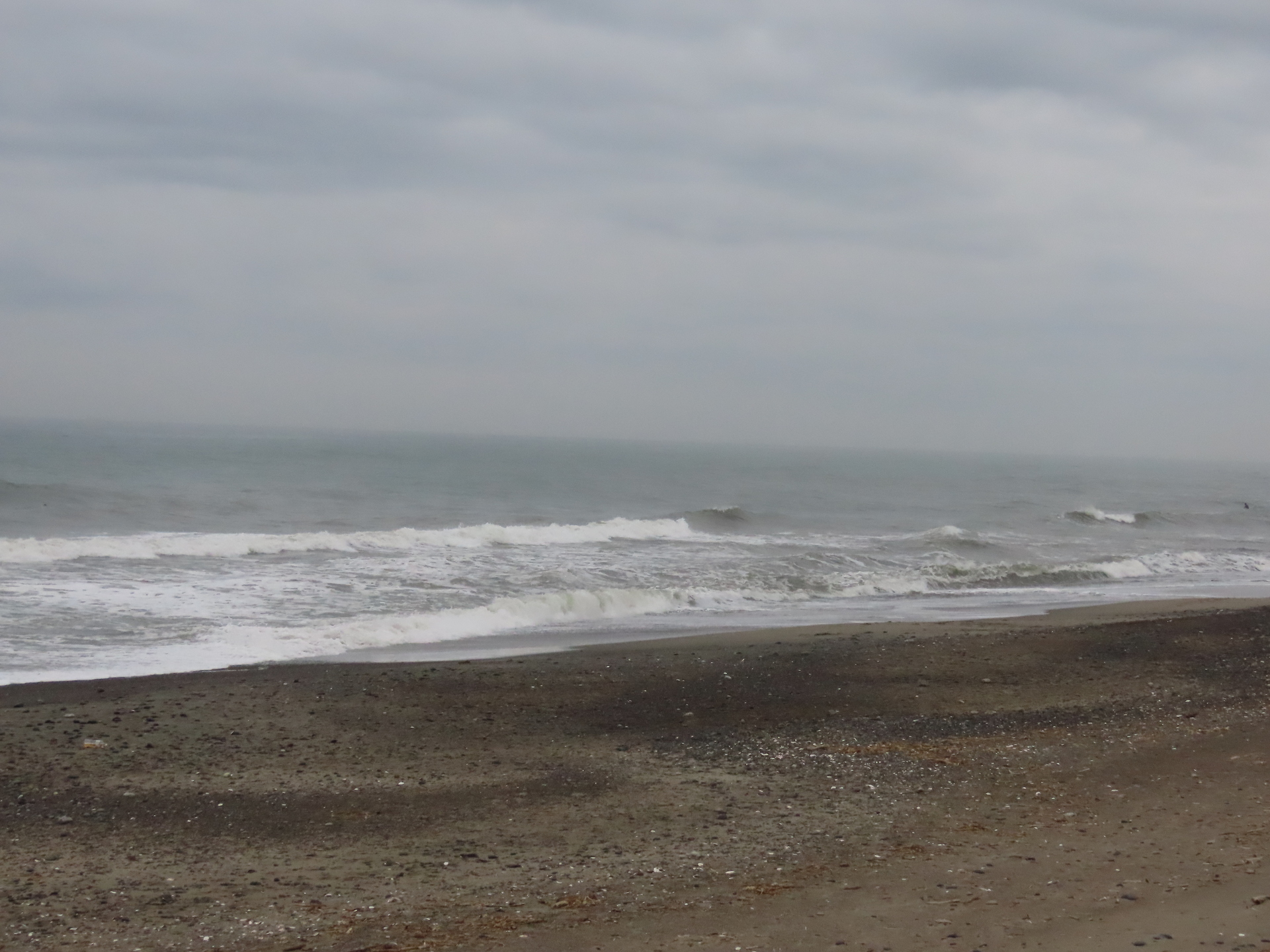 4月18日（木）朝: TA5