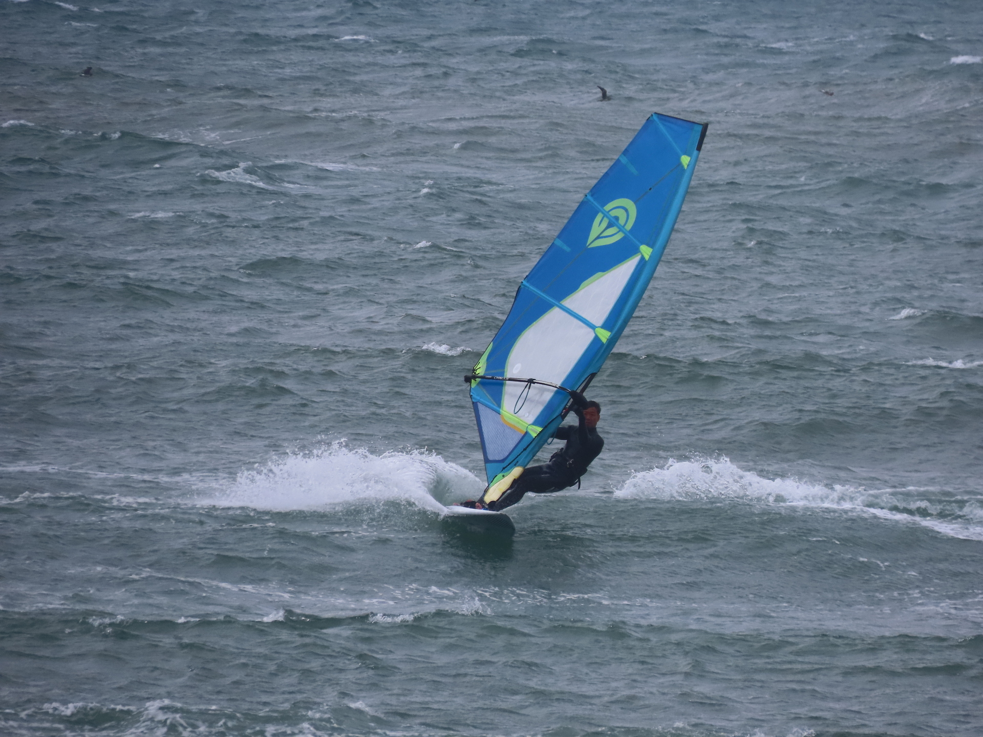 3月29日（土）ウインド: TA5