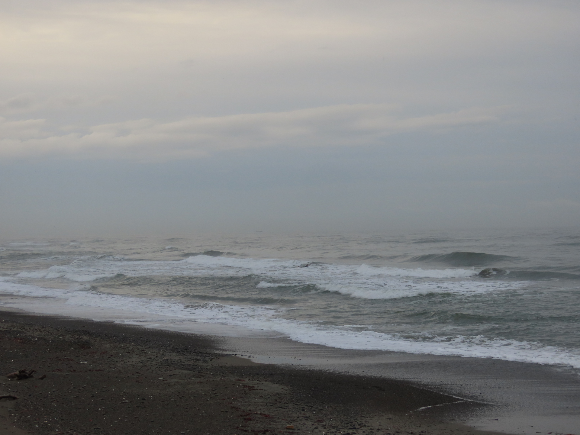 4月11日（金）朝: TA5