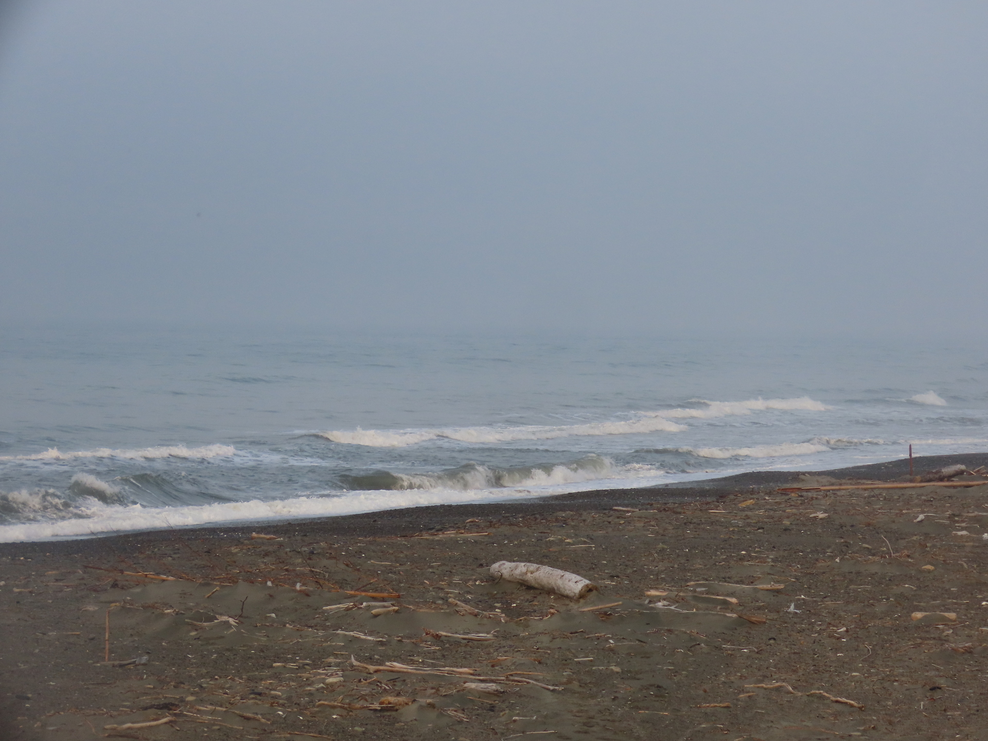 4月19日（土）朝: TA5