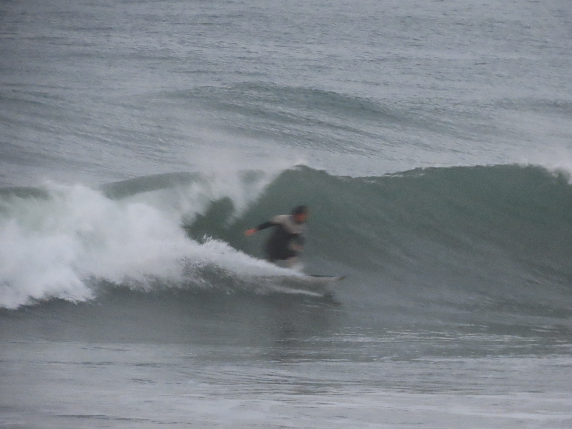 11月7日（金）朝: TA5