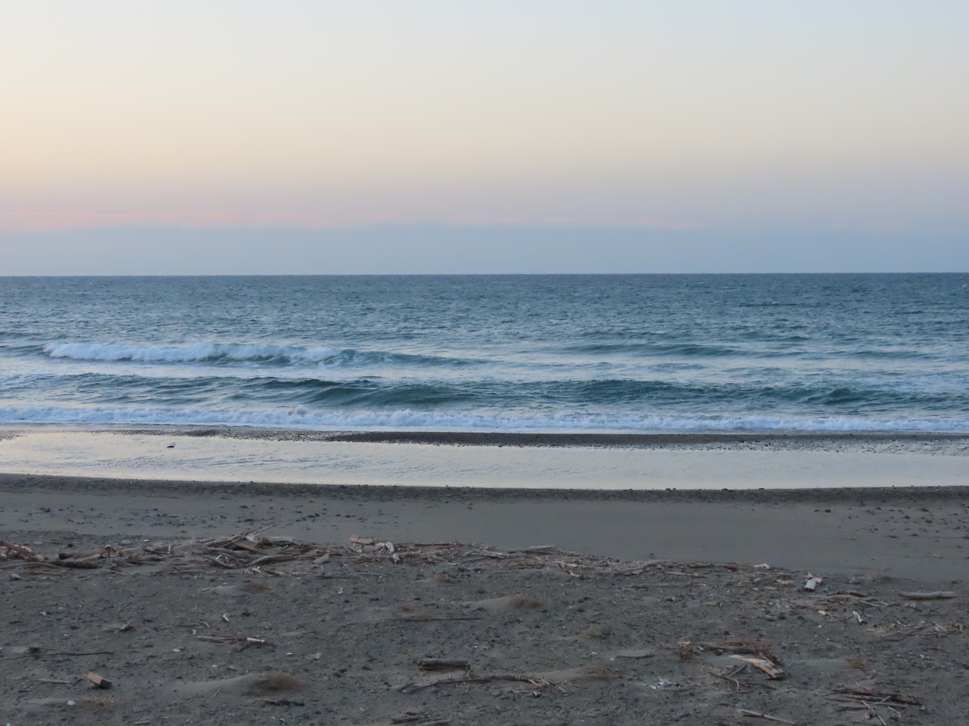 11月21日（金）朝: TA5