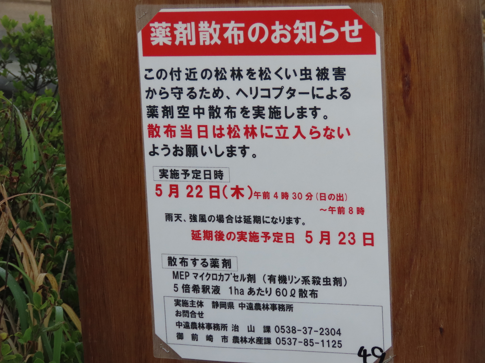 5月21日（水）朝: TA5