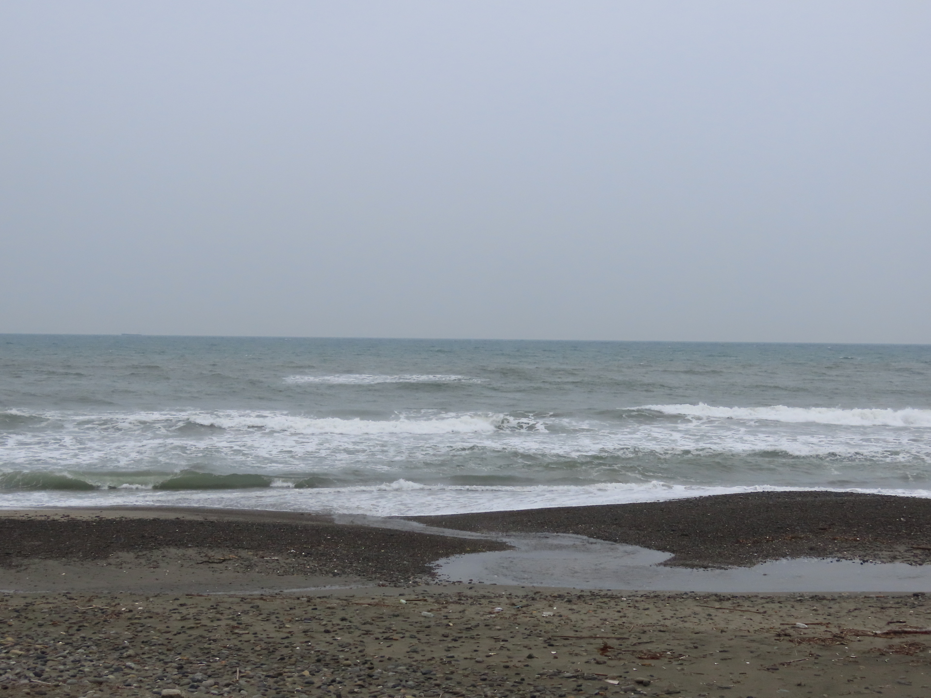 5月19日（月）朝: TA5