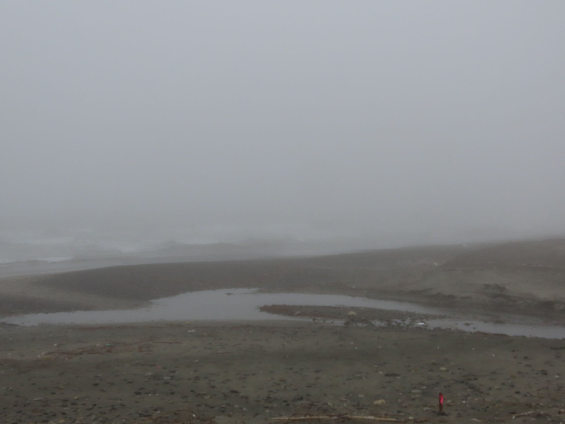 5月21日（水）朝: TA5