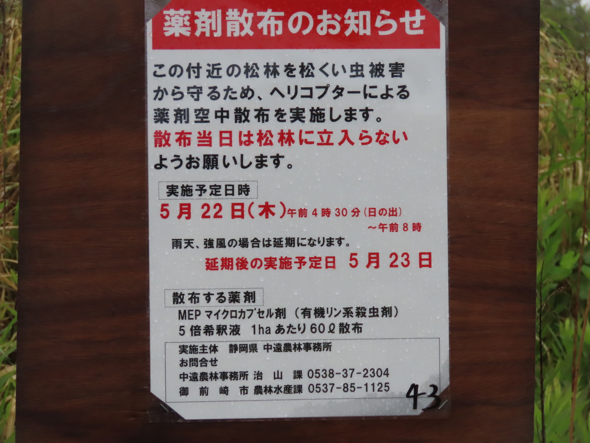 5月22日（木）朝: TA5