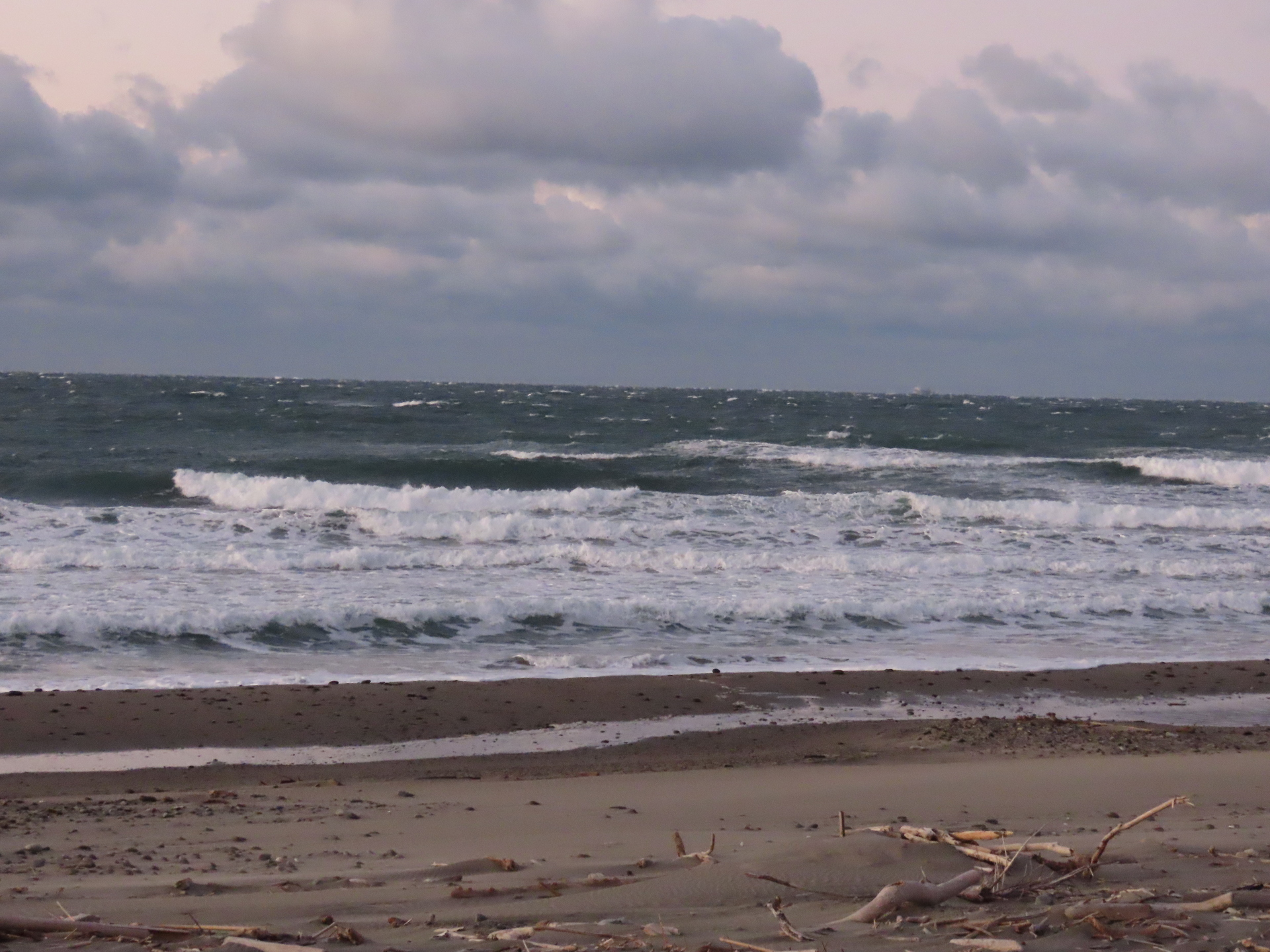 12月4日（木）朝: TA5