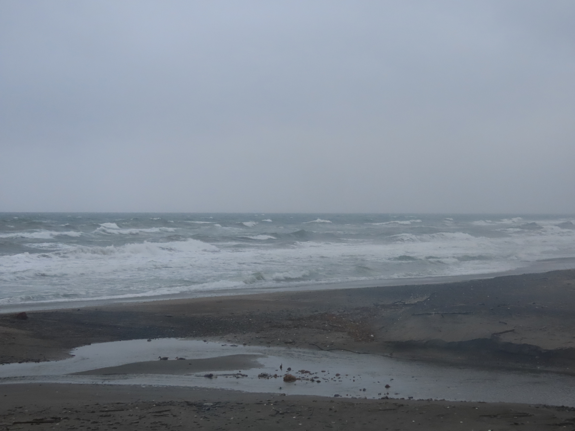 5月25日（日）朝: TA5