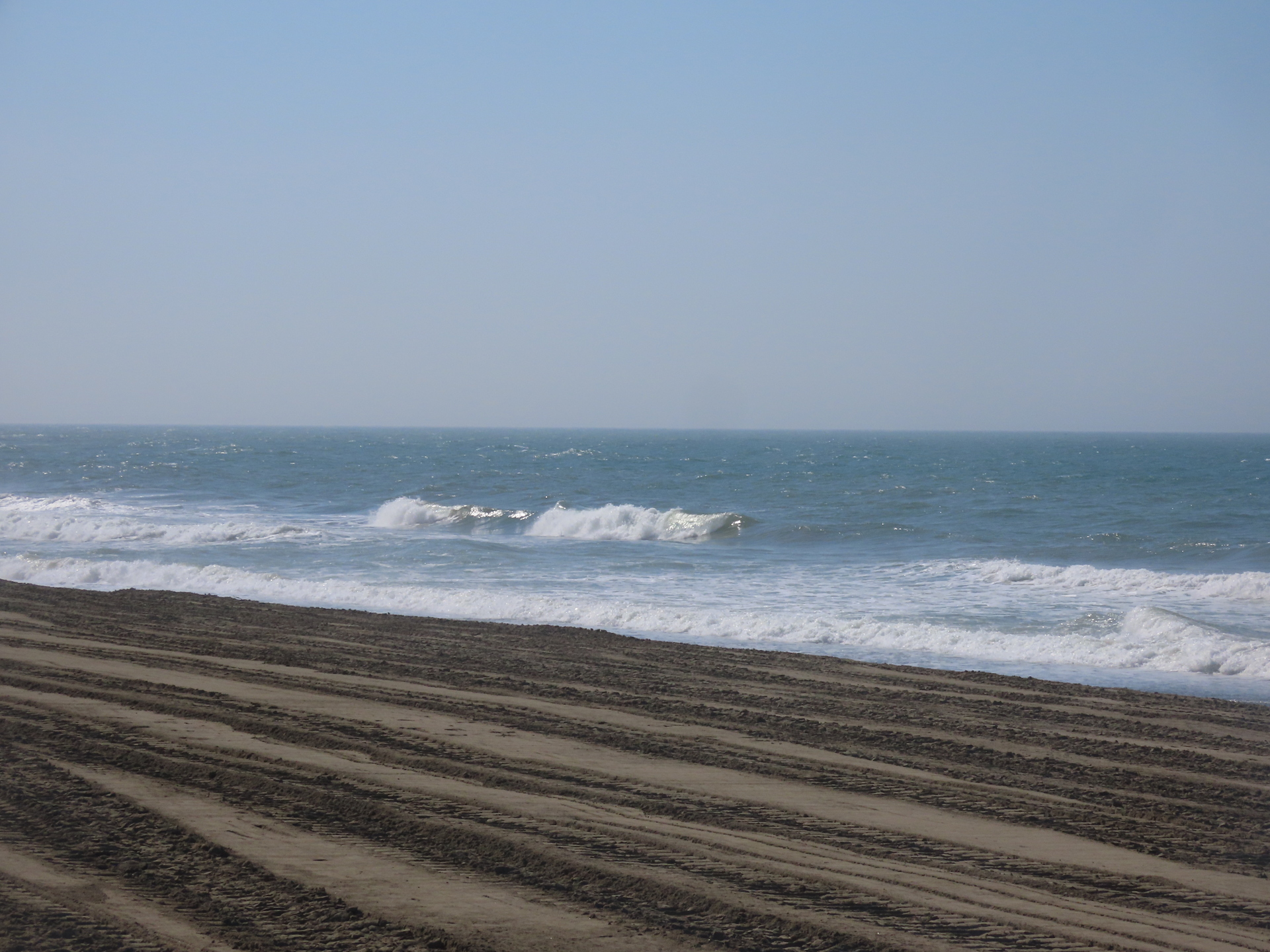 6月17日（火）朝: TA5