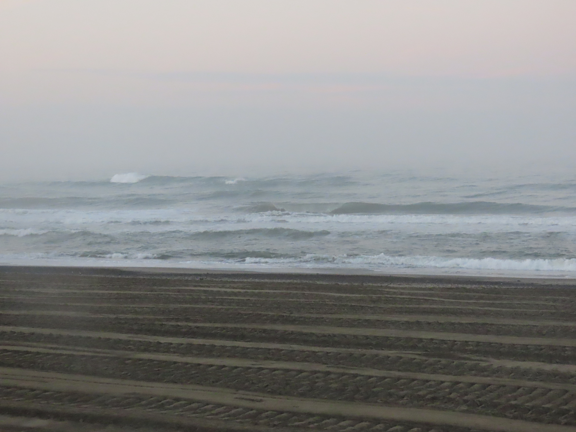 6月18日（水）朝: TA5