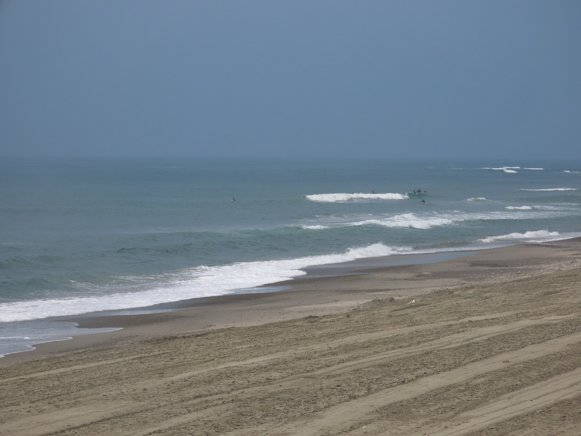 6月19日（木）朝: TA5