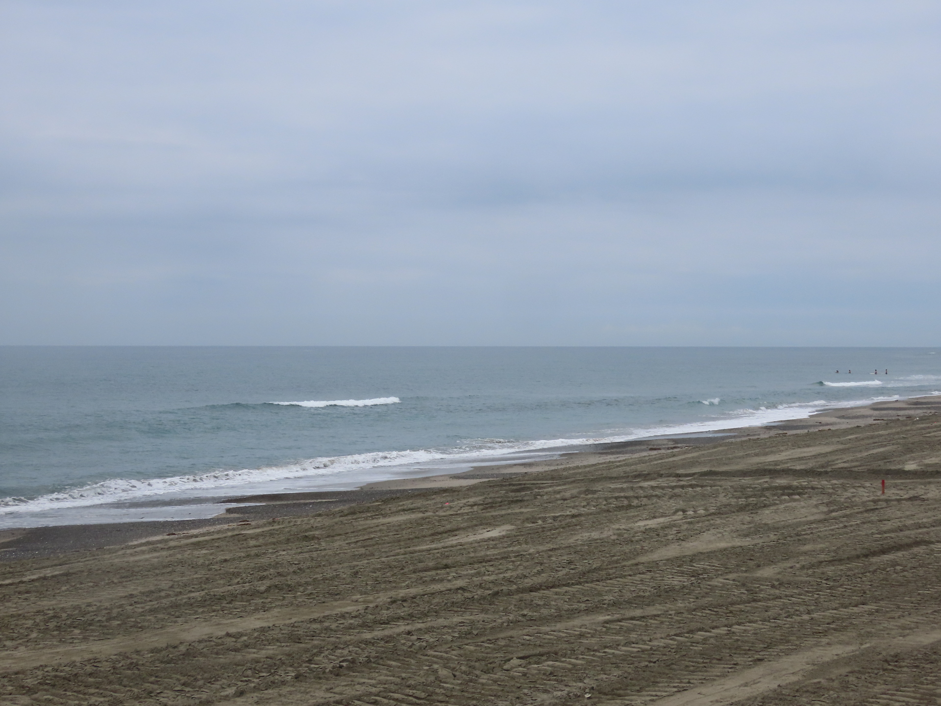 6月20日（金）朝: TA5