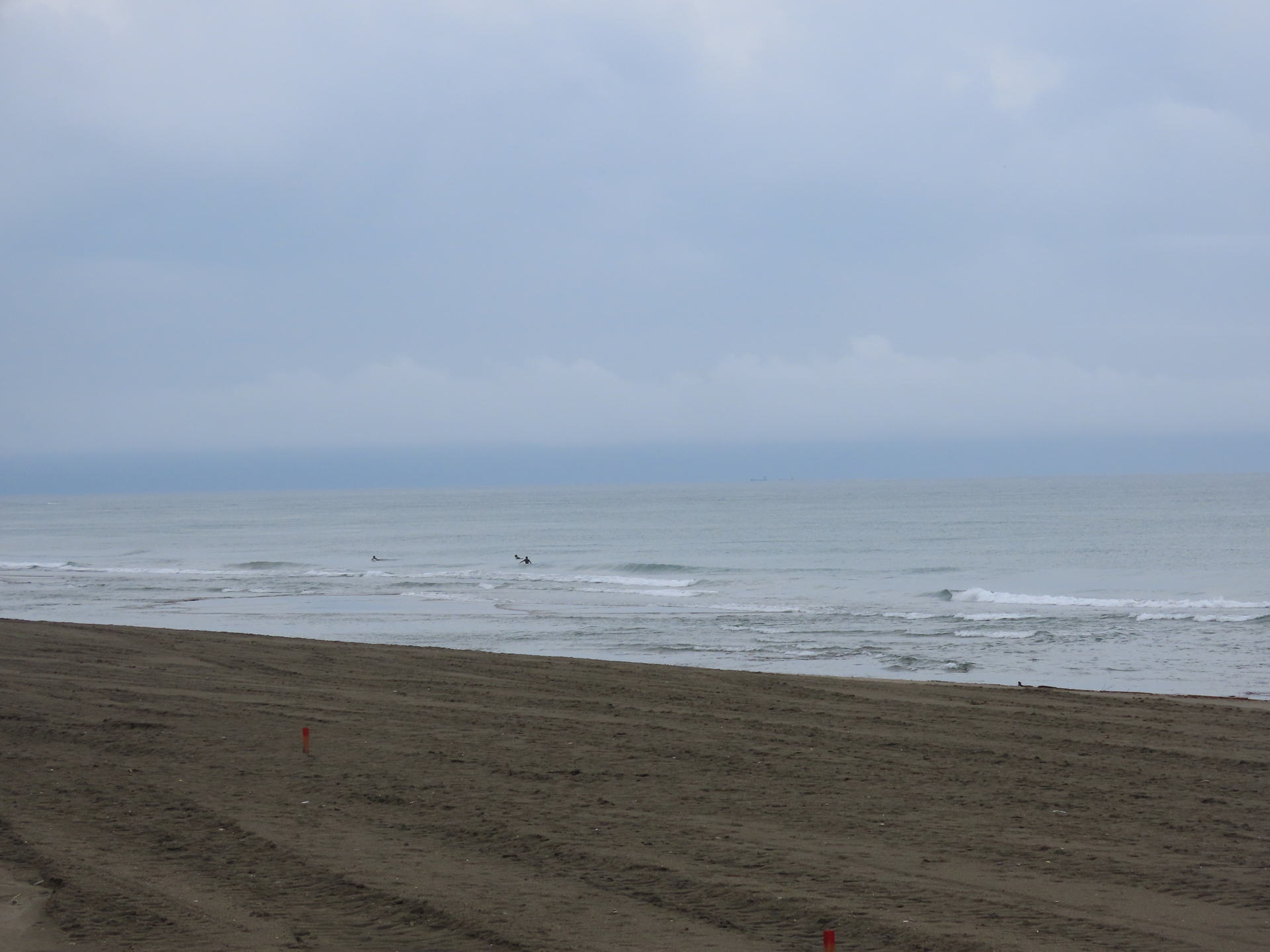 6月24日（火）朝: TA5