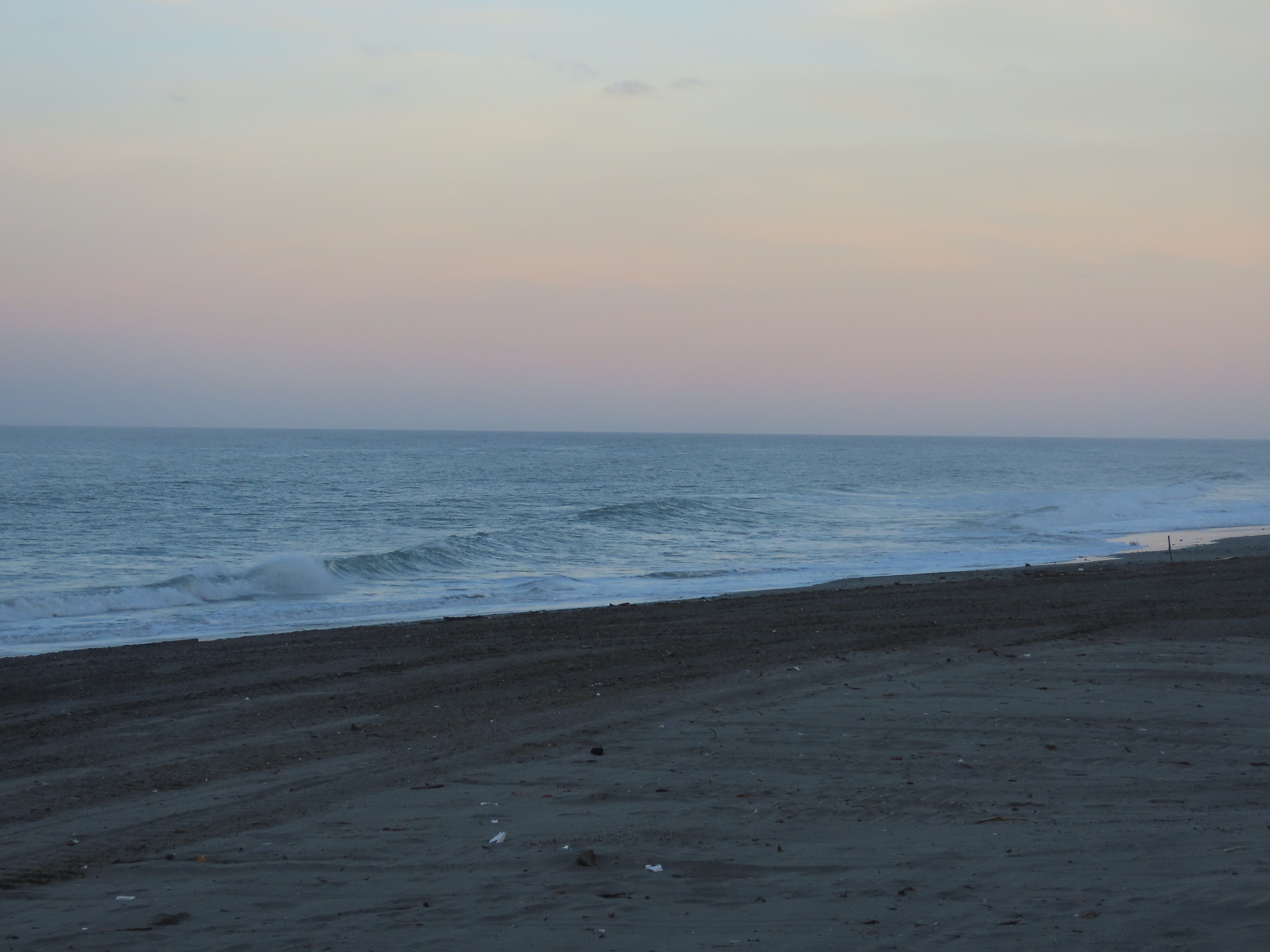 6月26日（木）朝: TA5