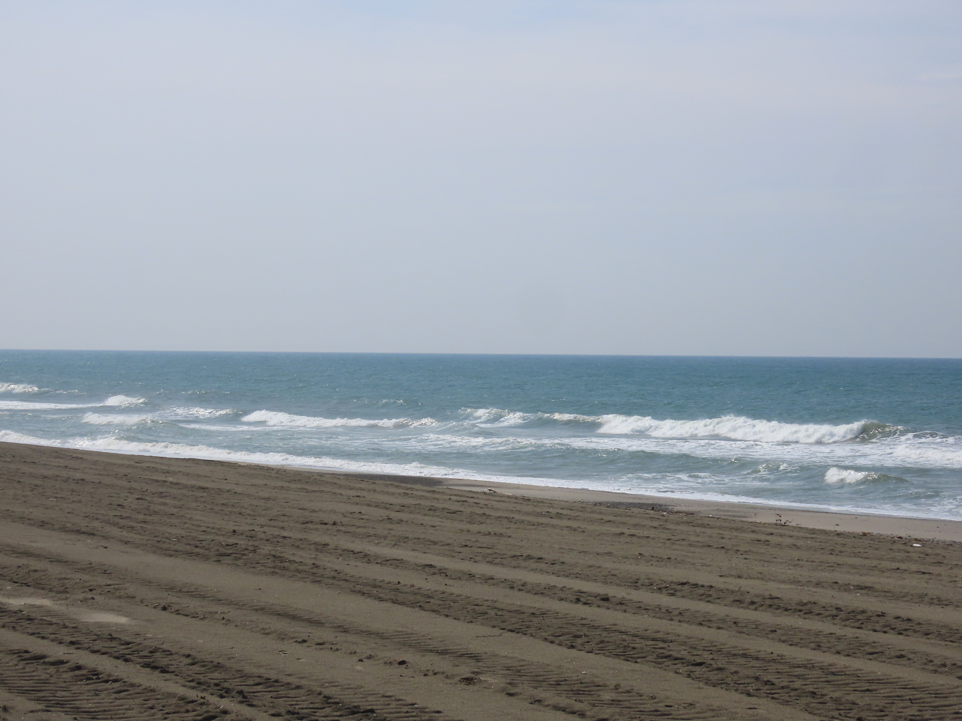 6月27日（金）朝: TA5