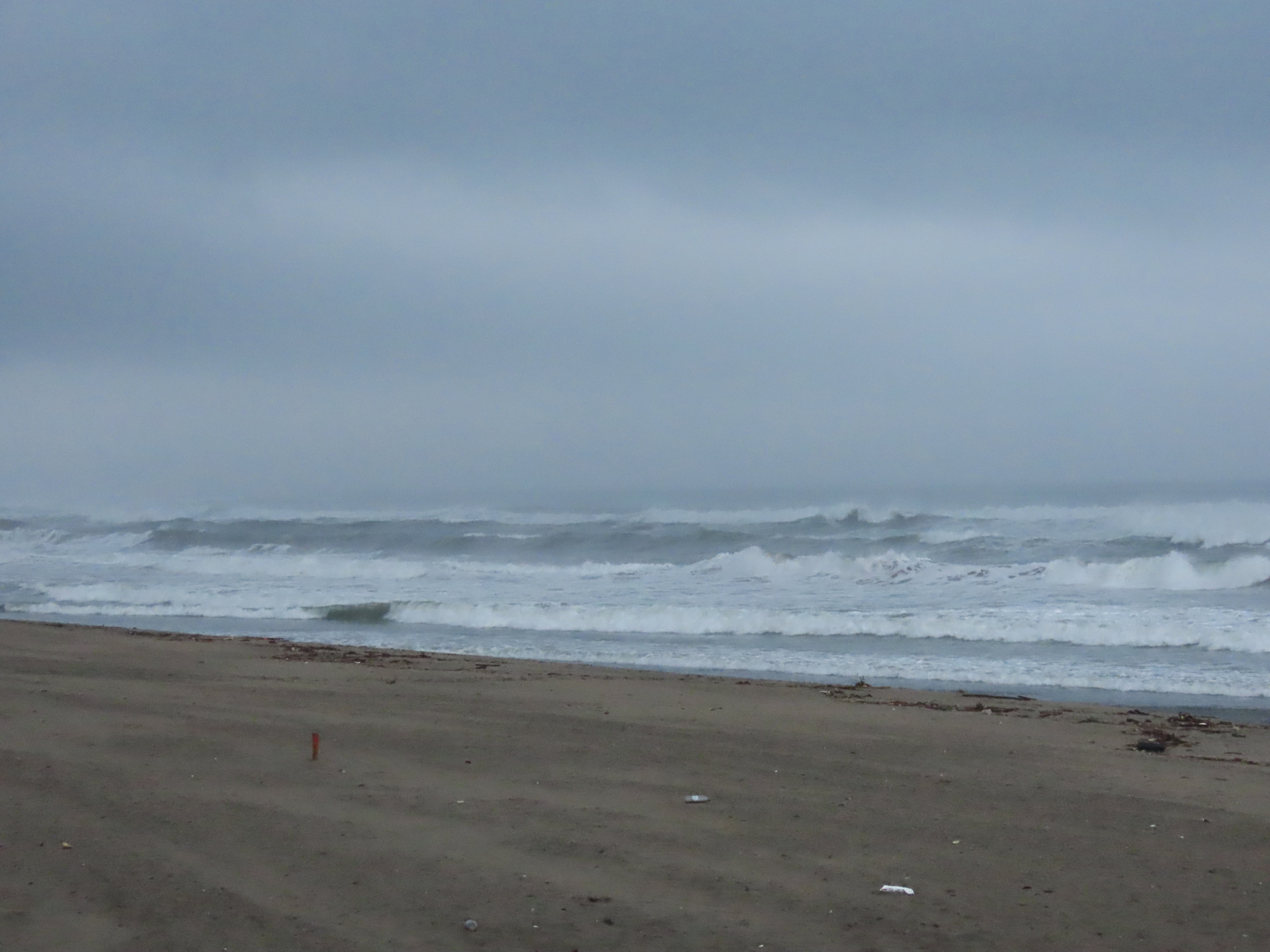 7月16日（水）朝: TA5