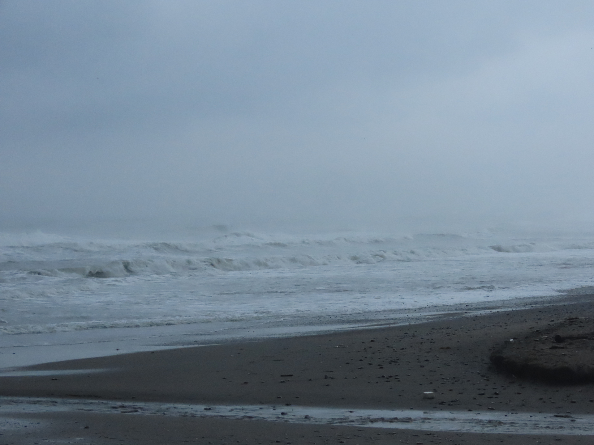 7月16日（水）朝: TA5