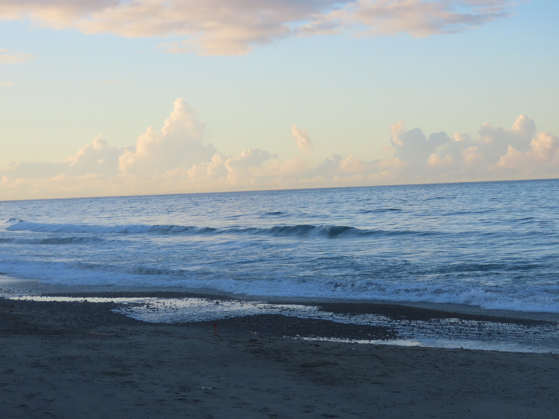 7月25日（金）朝: TA5