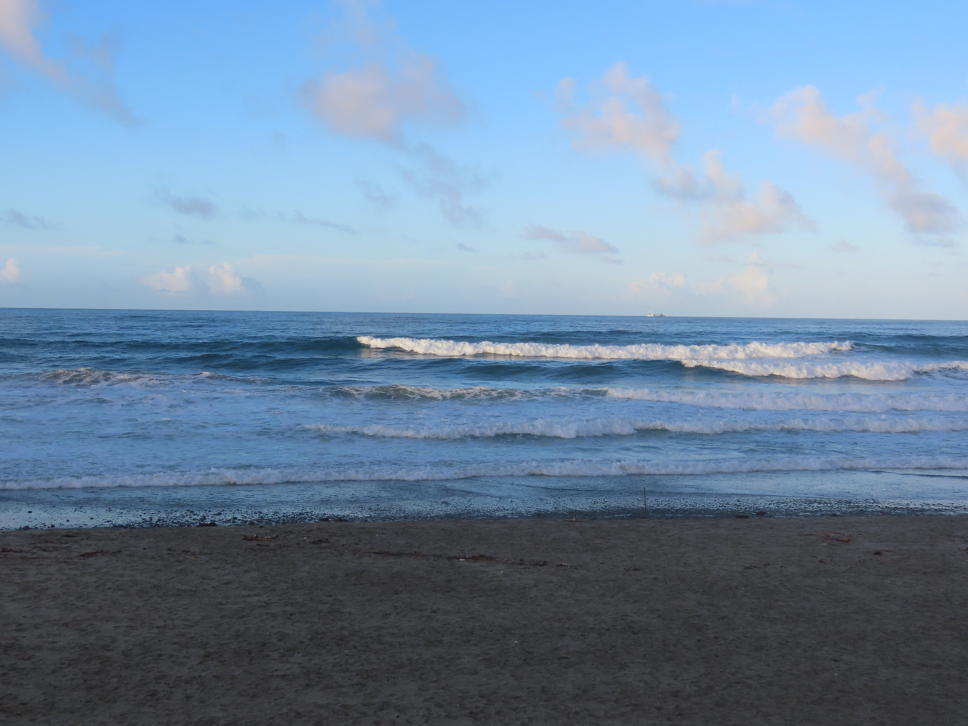 7月26日（土）朝: TA5