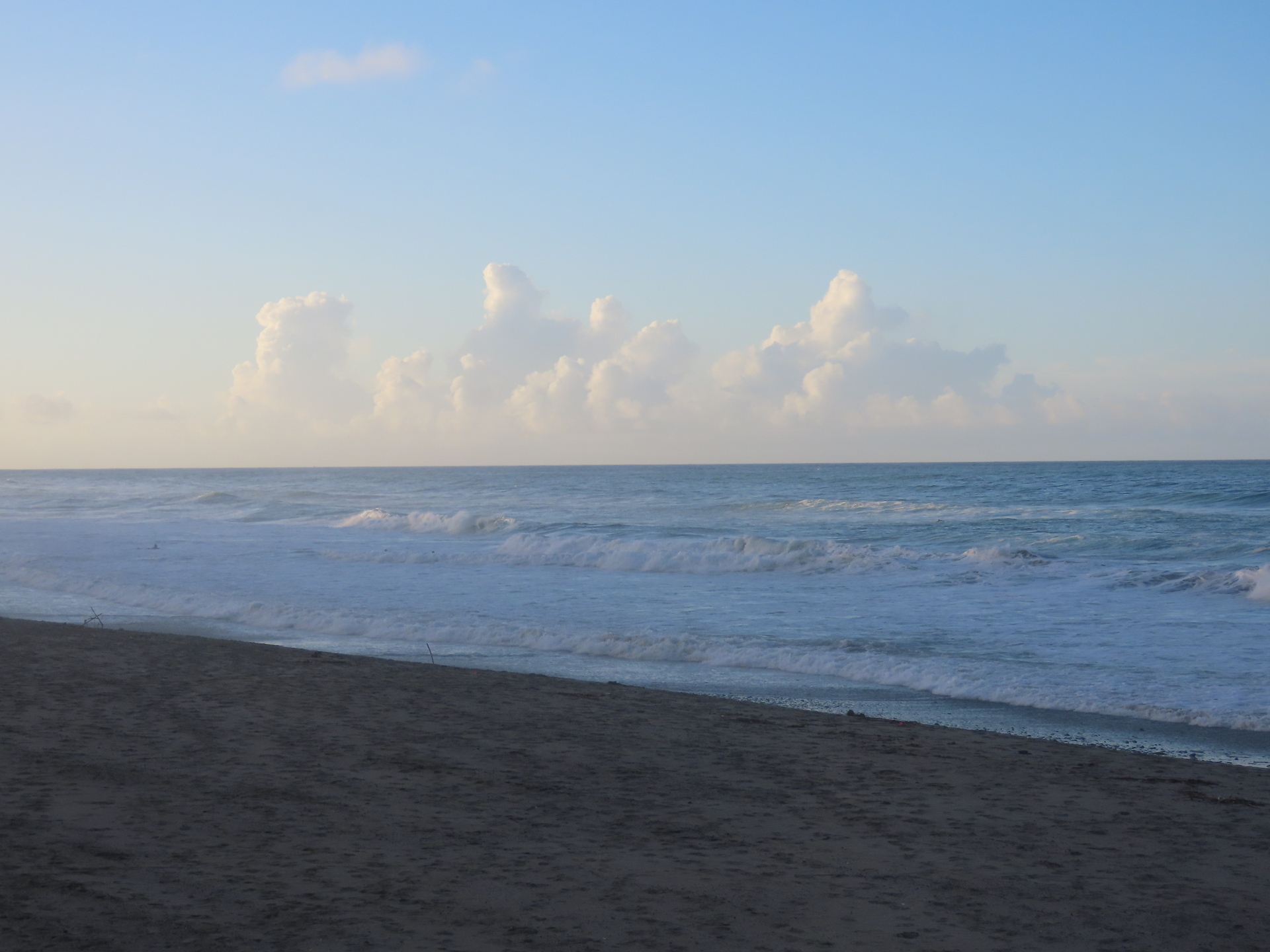 7月26日（土）朝: TA5