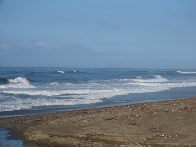 7月28日（月）朝: TA5